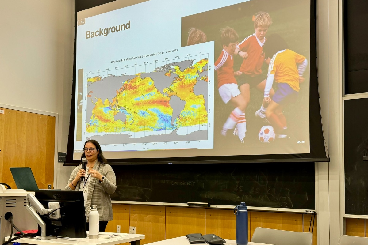 Sarah Rudd, la mujer pionera en Big Data y responsable del maravilloso ...