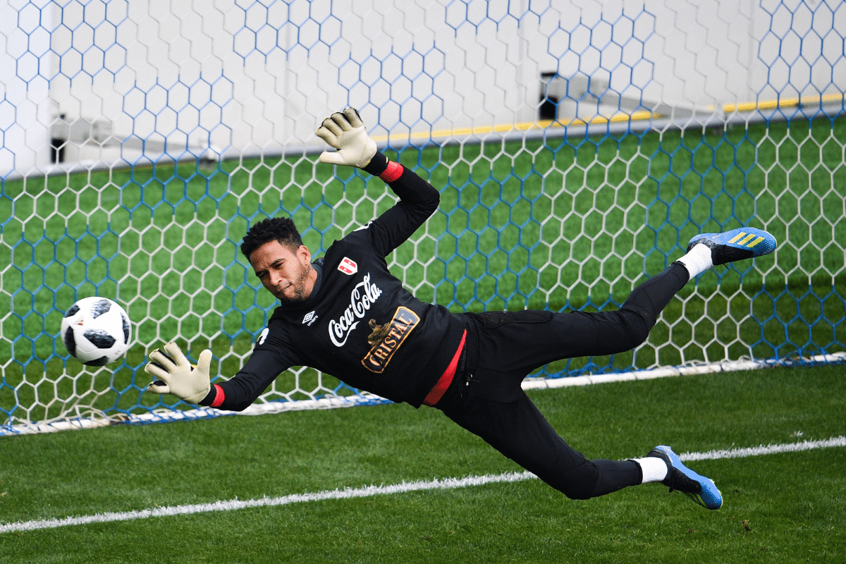 Carlos Cáceda, una garantía en el arco de la Selección Peruana ...